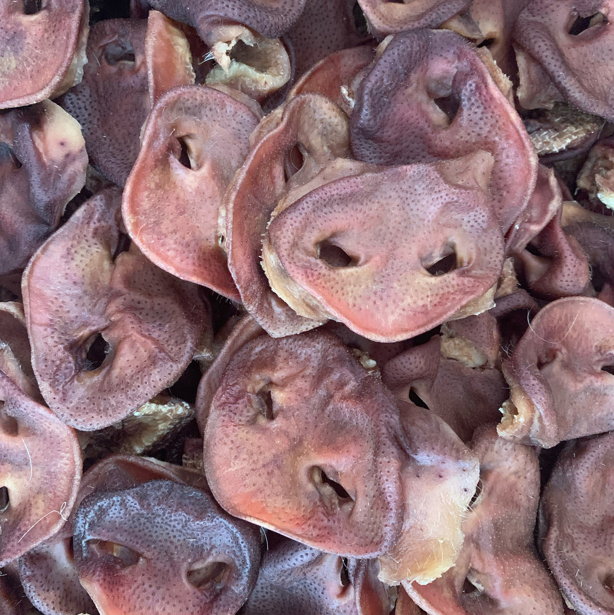 PigSnoutChews_1200x1200.jpg?v=1695484963